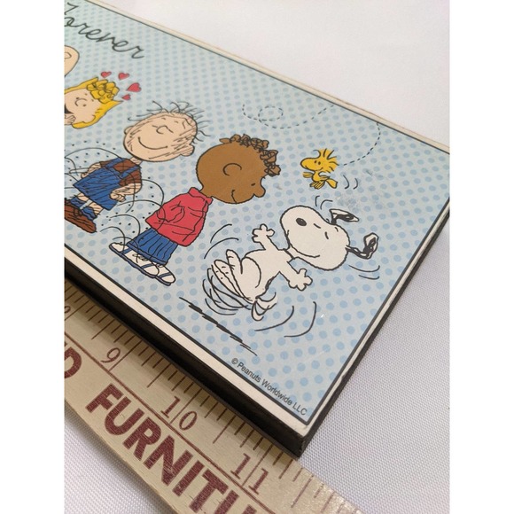 Peanuts | Accents | New Peanuts Charlie Brown Wall Hanging Shelf Sitter ...